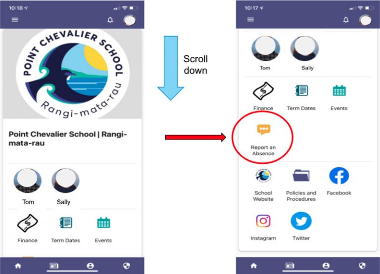 Contact and Absences | Point Chevalier School