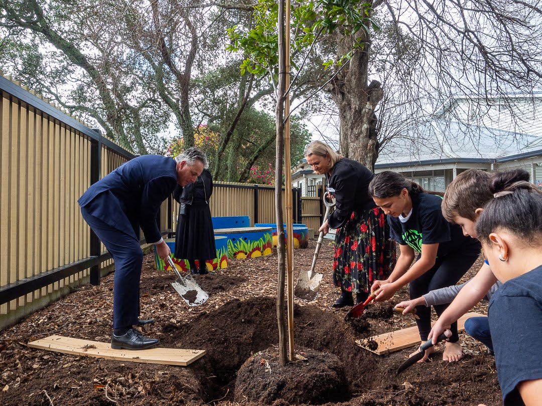 Centenary • Point Chevalier School