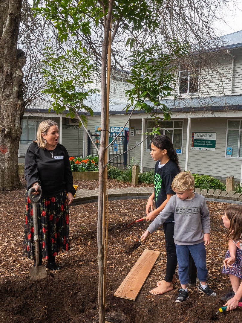 Centenary • Point Chevalier School