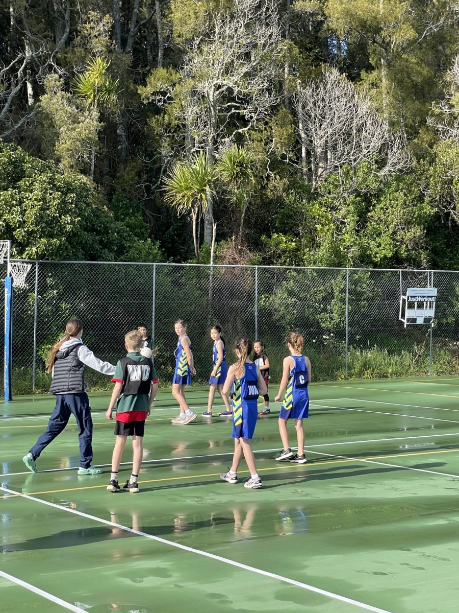 Physical Education and Sports • Point Chevalier School