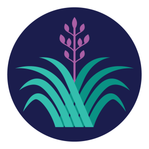 Our Staff • Point Chevalier School